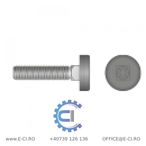 SURUB DE REGLARE CU GAT PATRAT LOCAS CRUCIFORM, CU CAPAC DIN PLASTIC ...